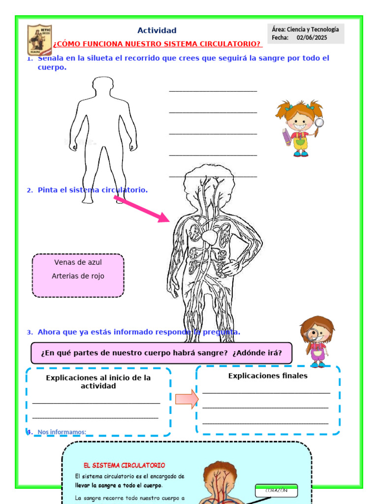 Sistema Circulatorio: Actividades Educativas | PDF | Sistema ...