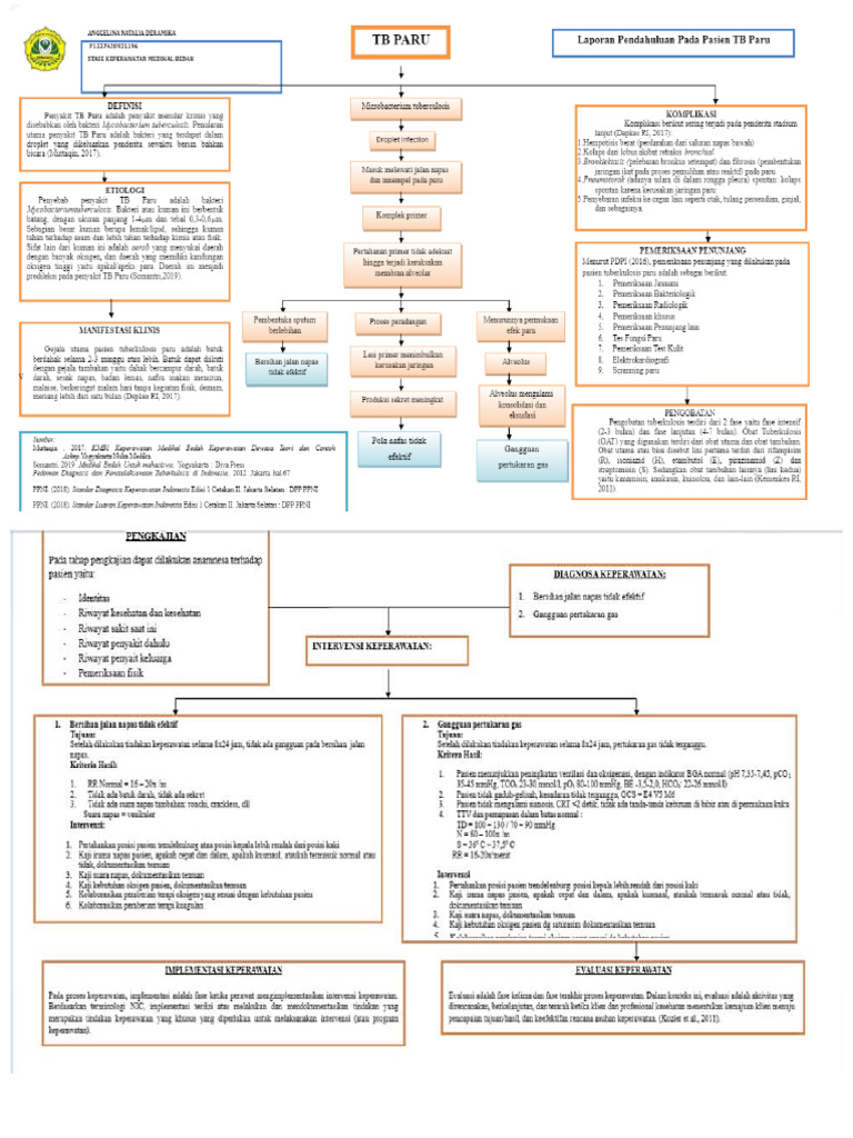 WOC TB Paru | PDF