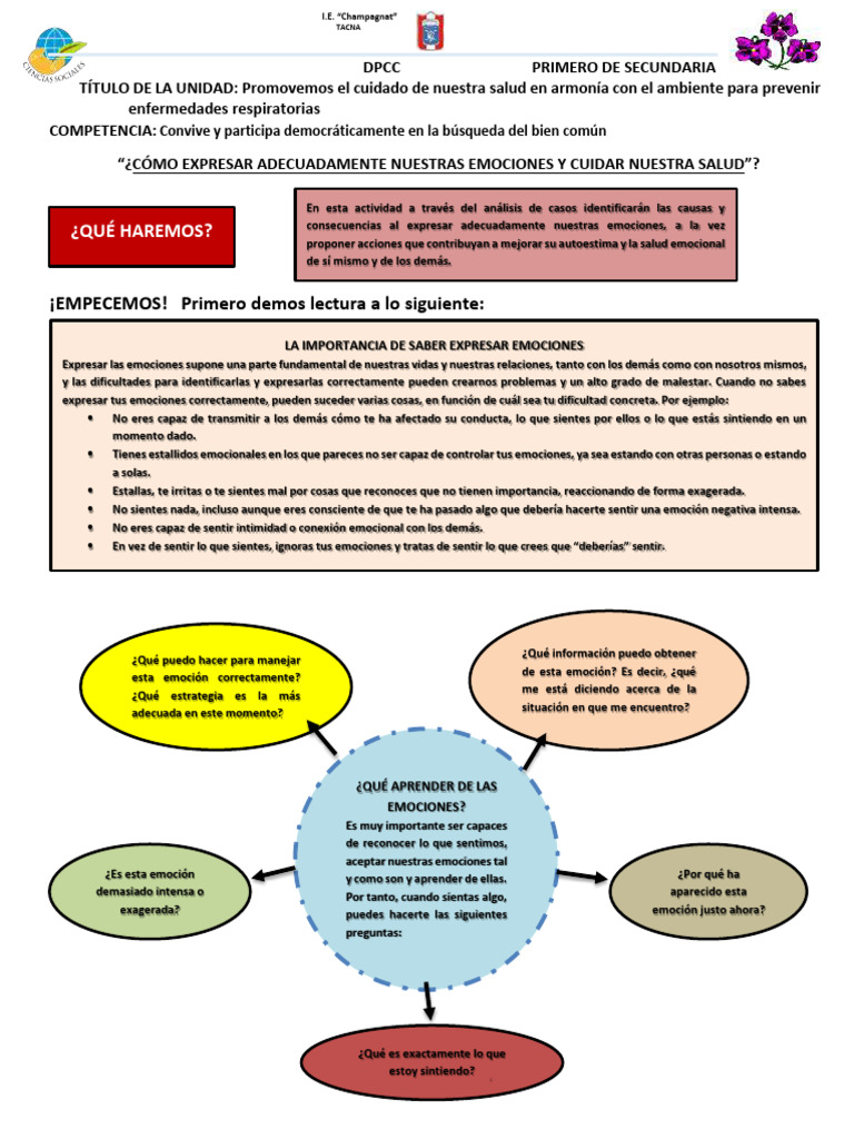 DPCC -CONOC. 4 (2) | PDF | Las emociones | Inteligencia emocional