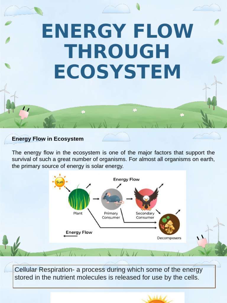Energy Flow and Biogeochemical Cycles | PDF | Food Web | Nitrogen