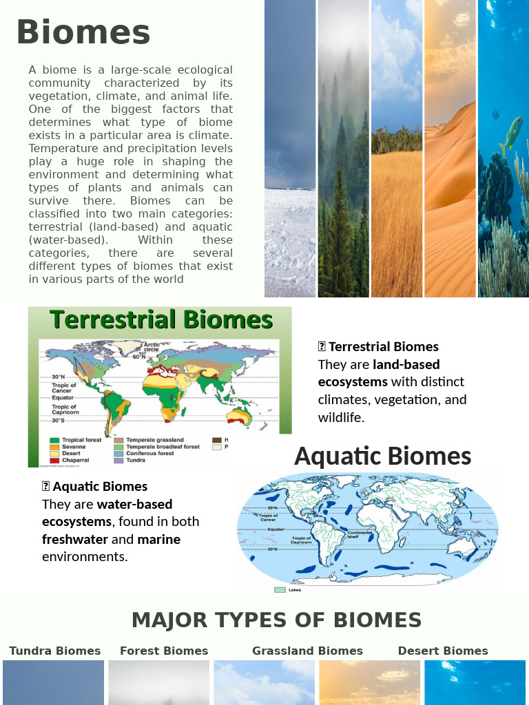 Lesson 5 Biomes.. | PDF | Grassland | Plankton