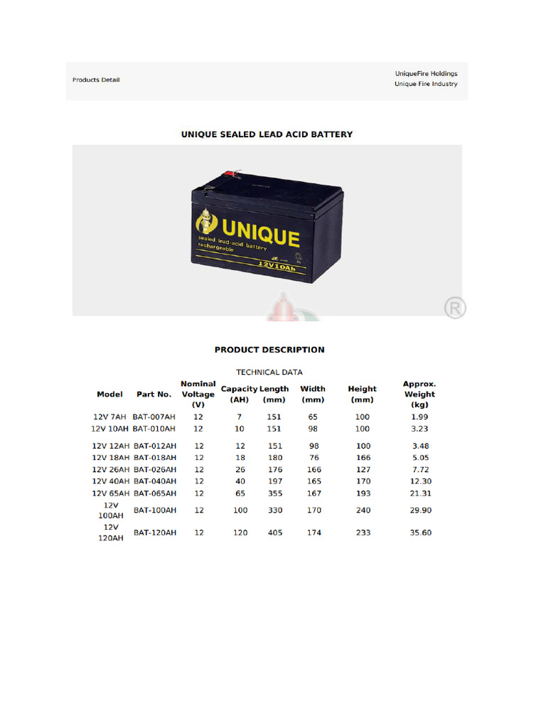 Unique Batteries 1 | PDF