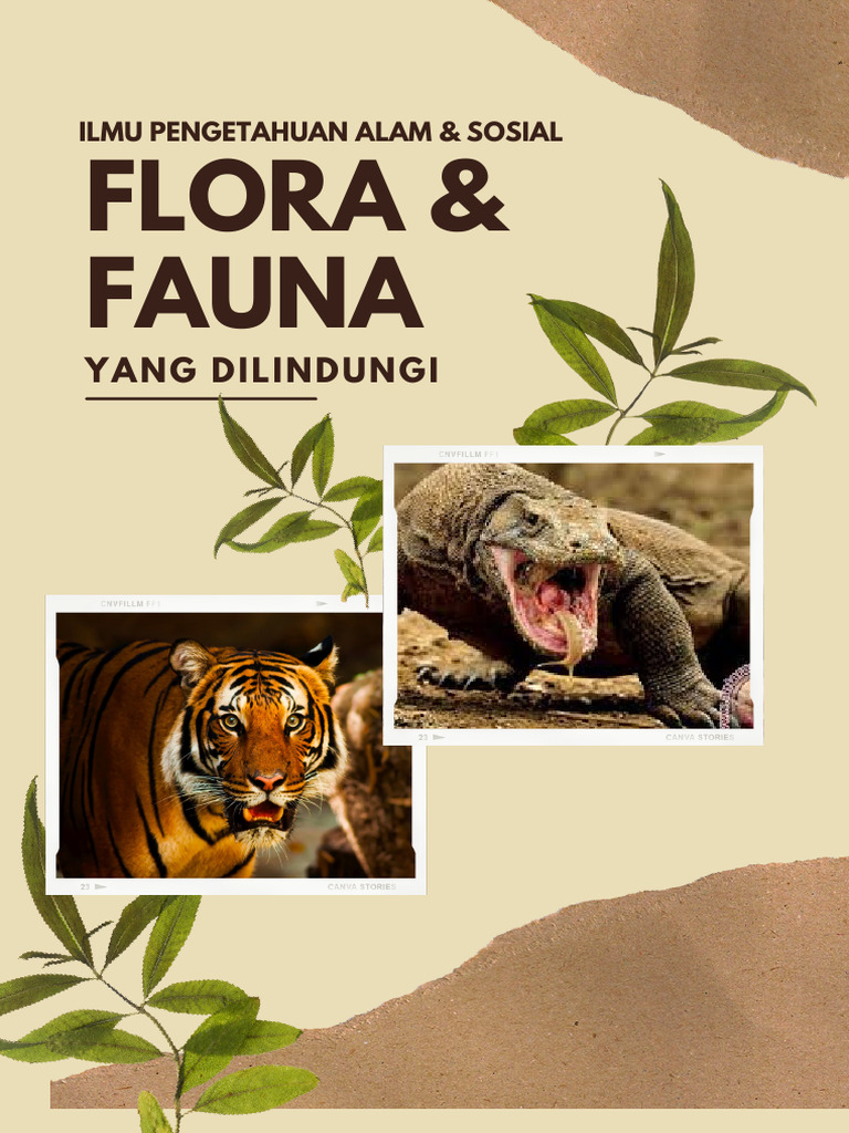 Protect Wild Flora & Fauna World Wildfile Poster | PDF