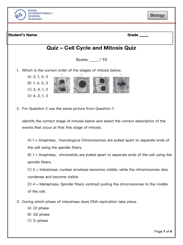 Cell Cycle and Mitosis Quiz | PDF | Mitosis | Chromosome