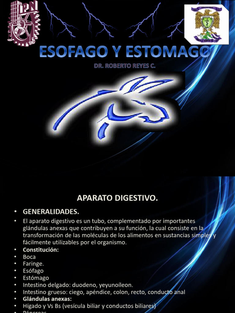 Esofago y Estomago | PDF | Sistema digestivo humano | Estómago