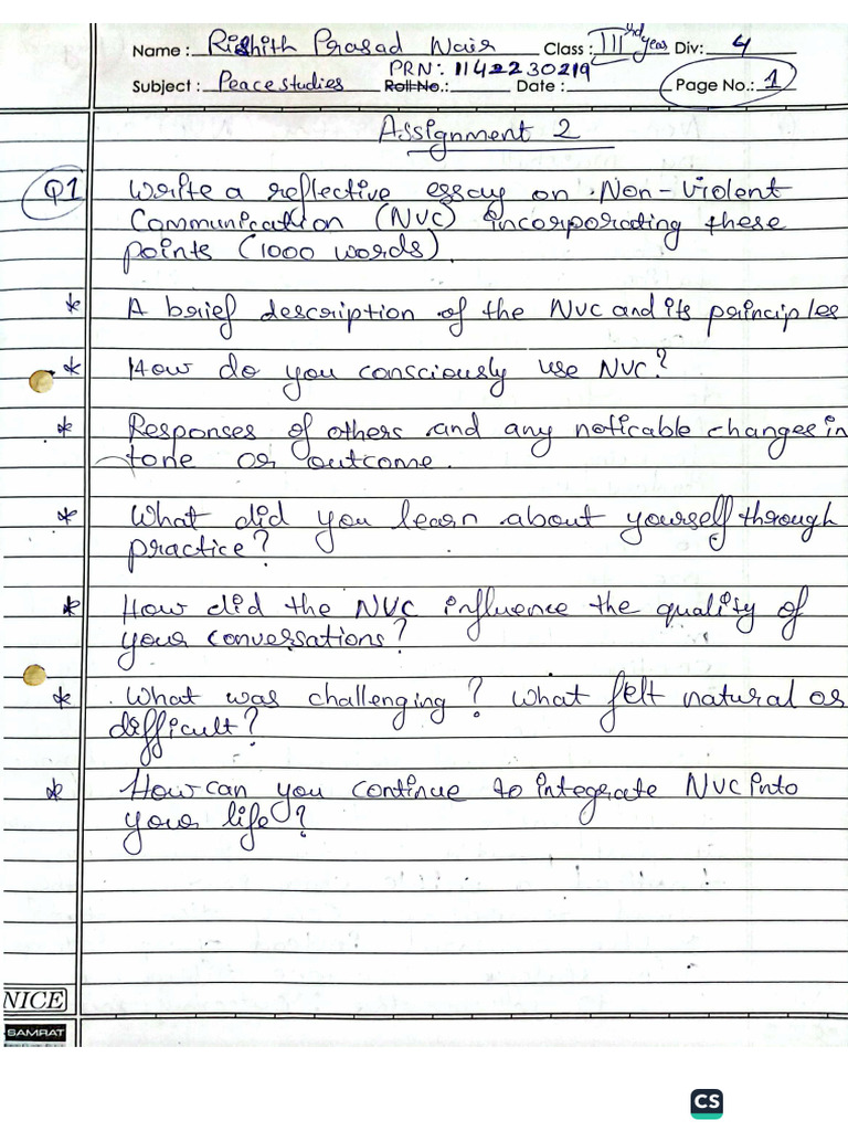 Assignment 2( Peace Studies) | PDF