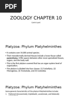 Types of Cercariae with Examples | PDF | Zoology