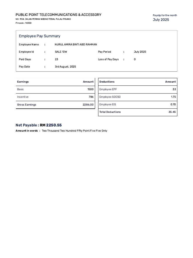 Free Payslip Generator Online - Create Custom Payslips | PDF