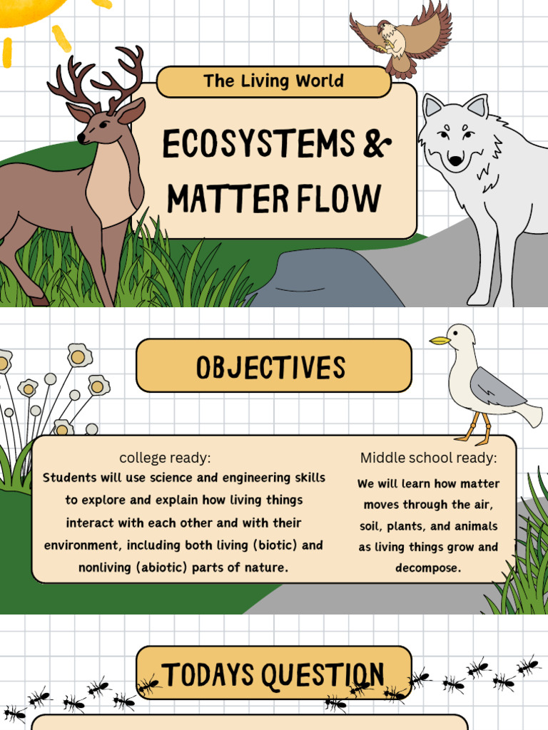 Ecosystems and Biomes Lesson Presentation in An Illustrative Style ...