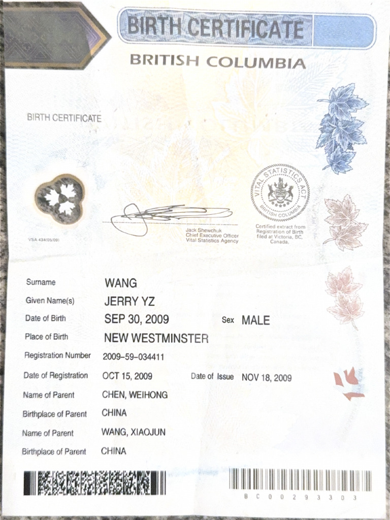 Birth Certificate | PDF