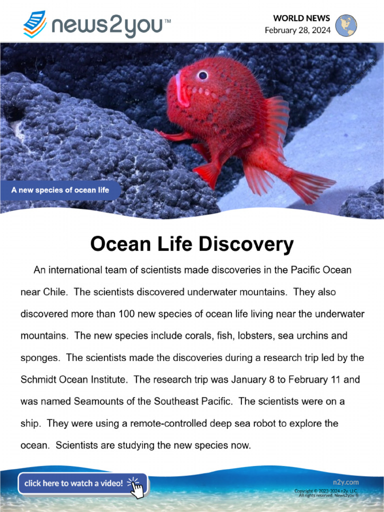 Ocean Life Discovery | PDF