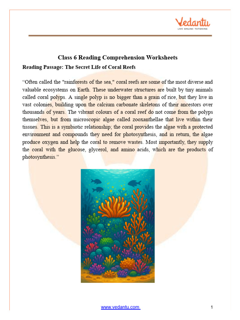 Class 6 Reading Comprehension Worksheets PDF Free Download | PDF ...