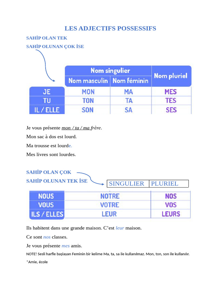 Adjectifs Possessifs en Français | PDF