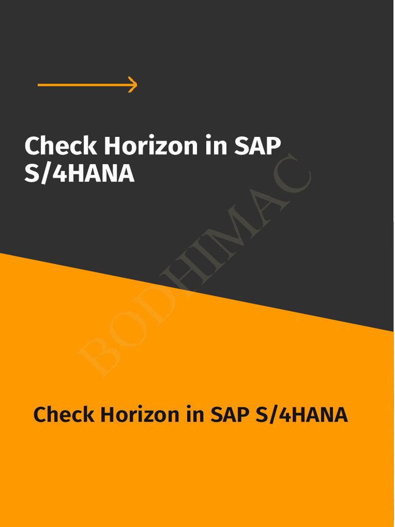 Check Horizon in Sap S4 HANA | PDF