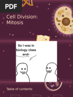 Amoeba Sisters Mitosis Overview | PDF | Mitosis | Systems Biology