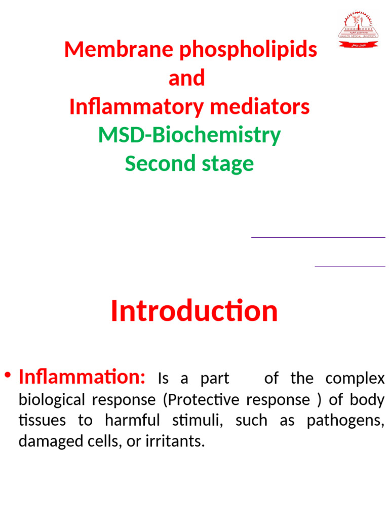 SGL 2 - Membrane Phospholipids and Inflammatory Mediators | PDF ...