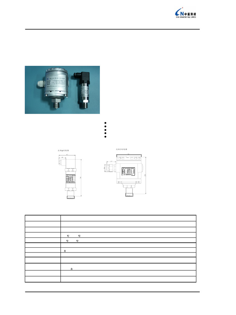 Datasheet of CS-PT100, PT200 | PDF | Pressure Measurement | Mechanical ...
