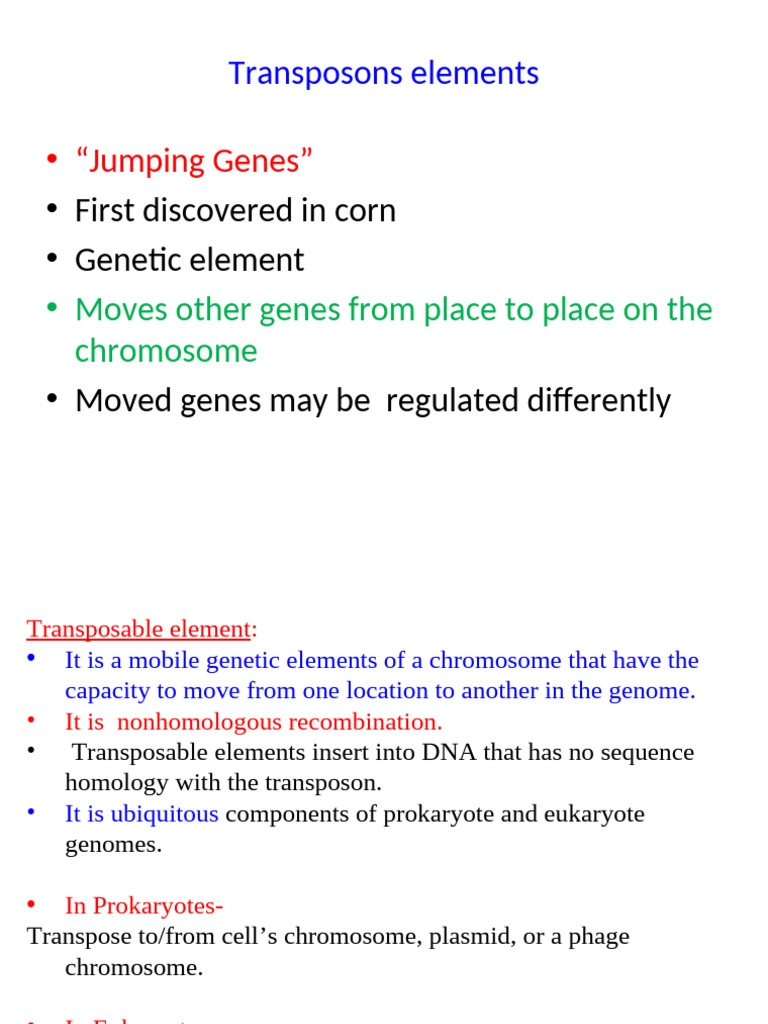 3rd Class Transposal Element | PDF | Transposable Element | Genome