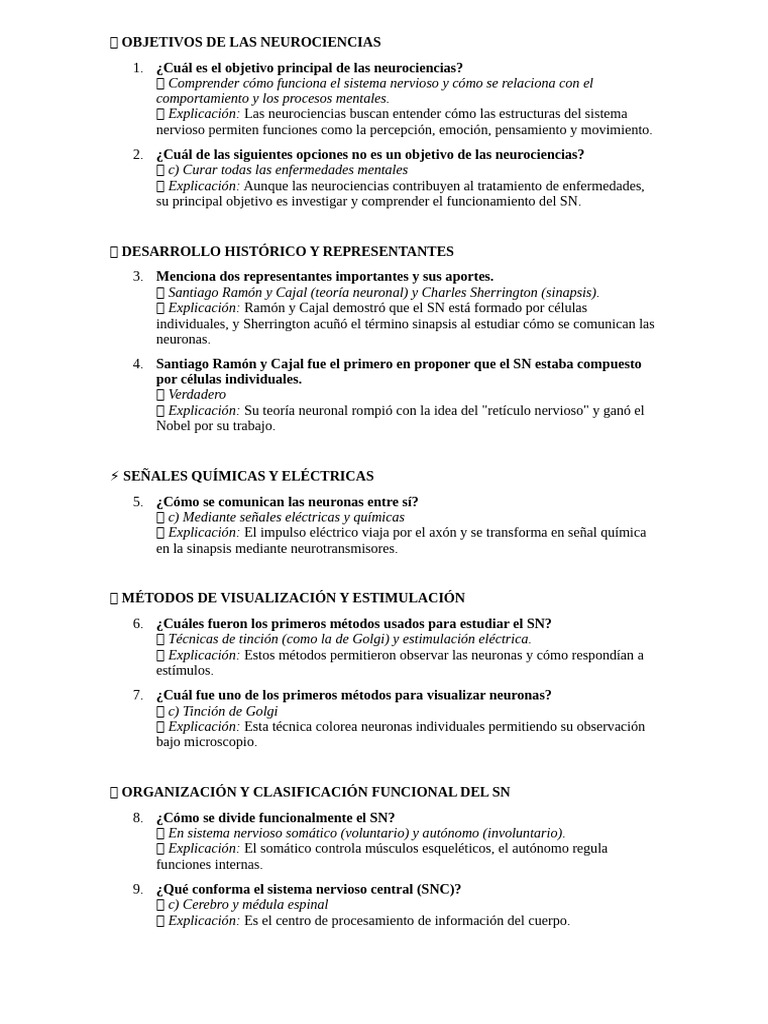 Bases Sssssss | PDF | Neurona | Neurociencia