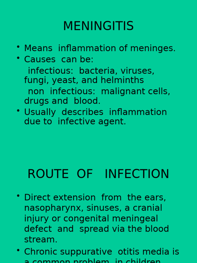 Understanding Meningitis: Causes & Treatment | PDF | Meningitis ...