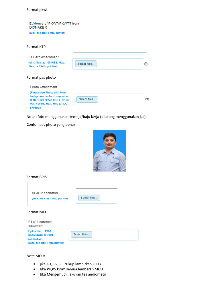 Format Input Dokumen CCPM | PDF