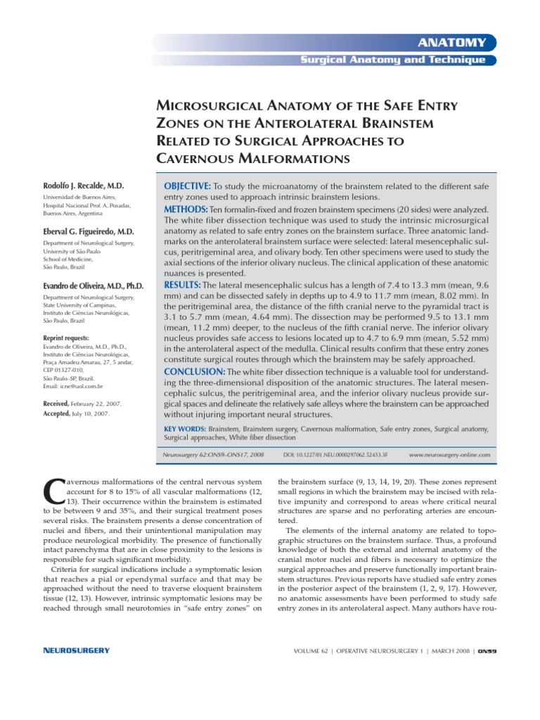 Microsurgical Anatomy Of The Safe Entry Zones On2 Pdf Brainstem Anatomical Terms Of Location