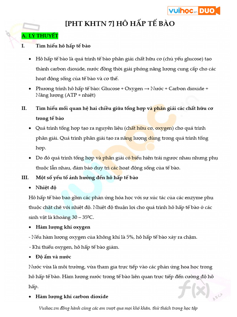 1727518226 Khtn7phieuht Ho Hap Te Bao | PDF