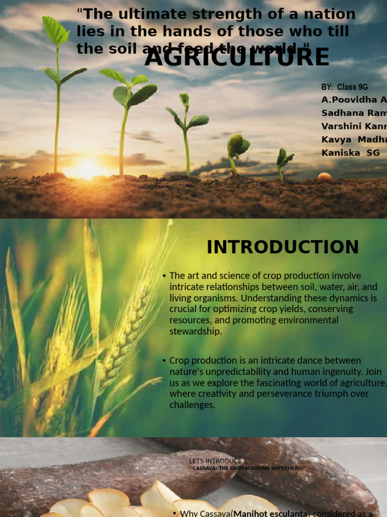 Biology Art Integration Group Project 9G | PDF | Manure | Fertilizer