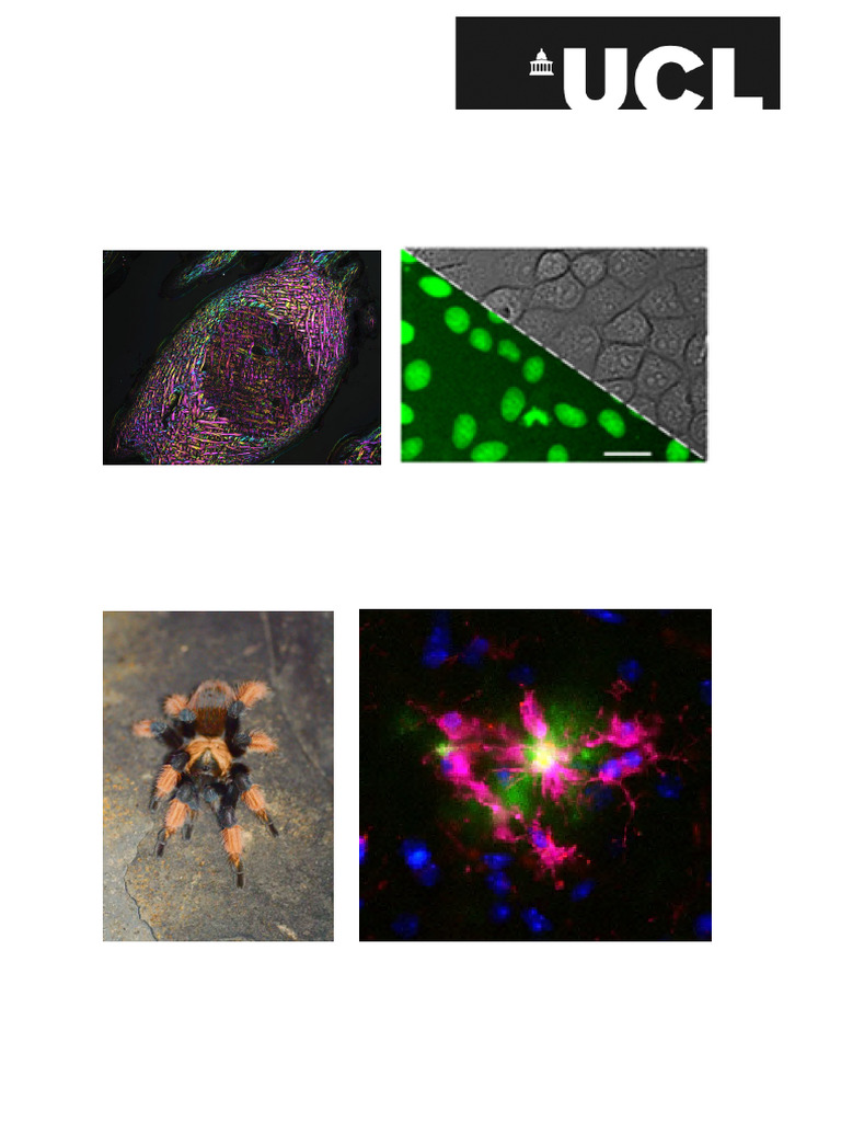 Biosciences Phd Student Handbook 2020-21 Final v2 Updated March 2021 ...