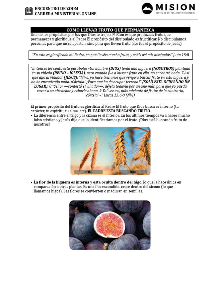 Como Llevar Fruto Que Permanezca - Mision Online | PDF | Amor