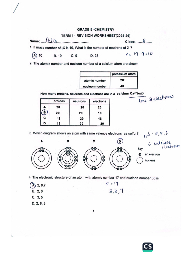 Term 1 Revision Worksheet-Answers | PDF