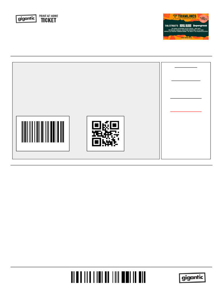 Tramlines Festival 2021 Ticket Details | PDF