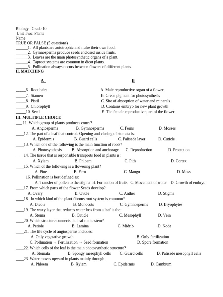 Grade 10 Plant Biology Quiz | PDF | Leaf | Flowers