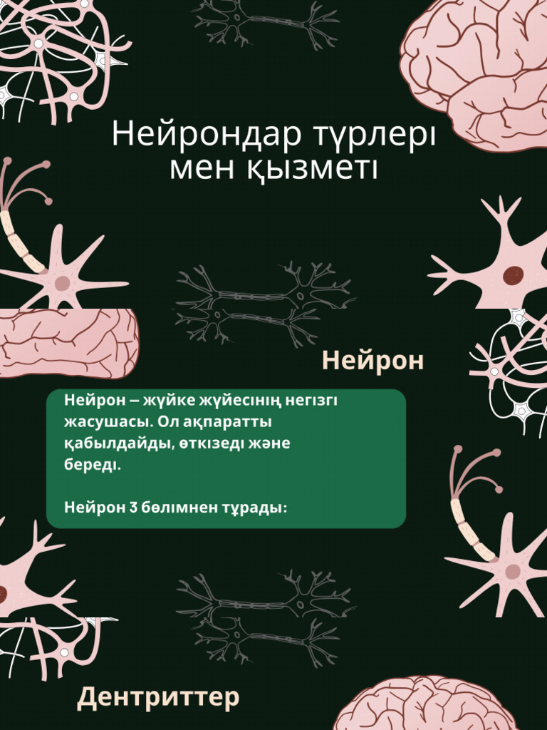 Pink and Green Playful Neuron Brain Group Project Presentation ...