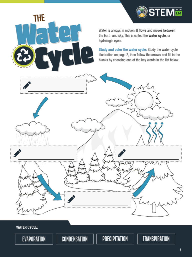 STEM Activity TheWaterCycle 8.5X11 | PDF | Water Cycle | Water