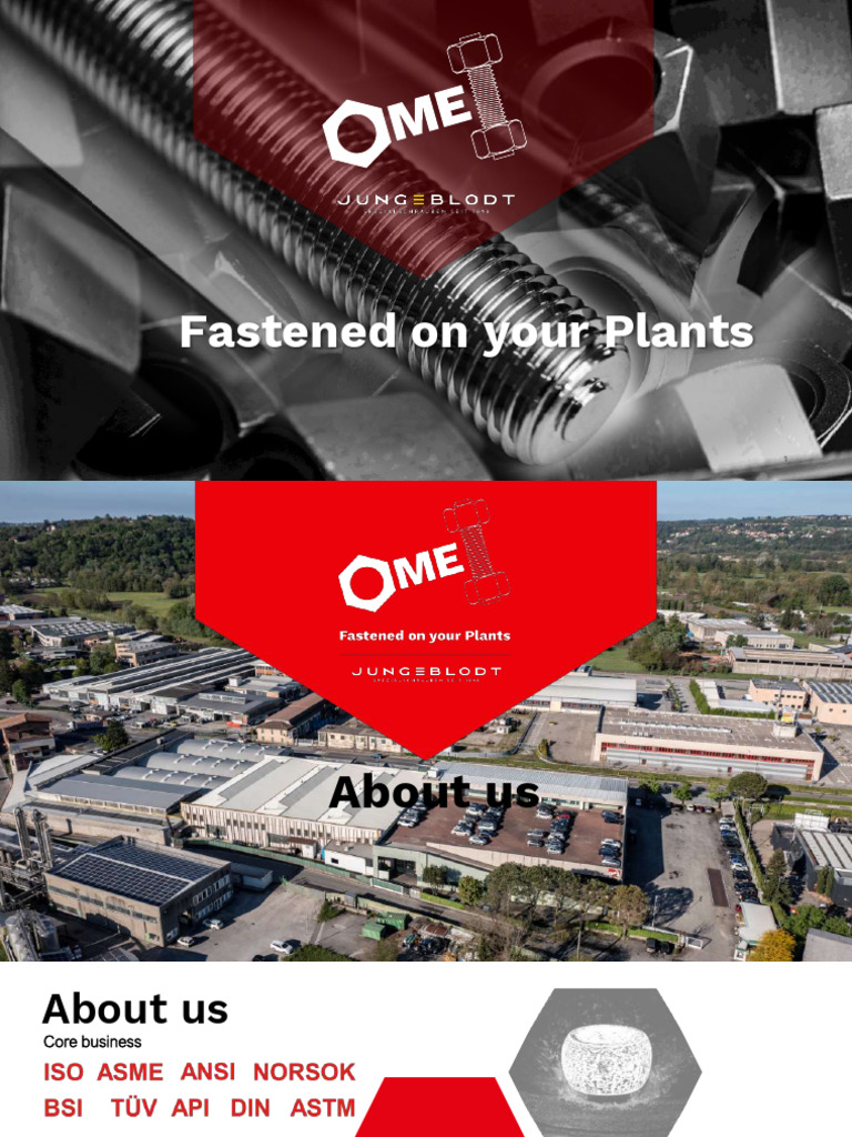 High-Resistance Fasteners Supplier Europe | PDF | Screw | Steel