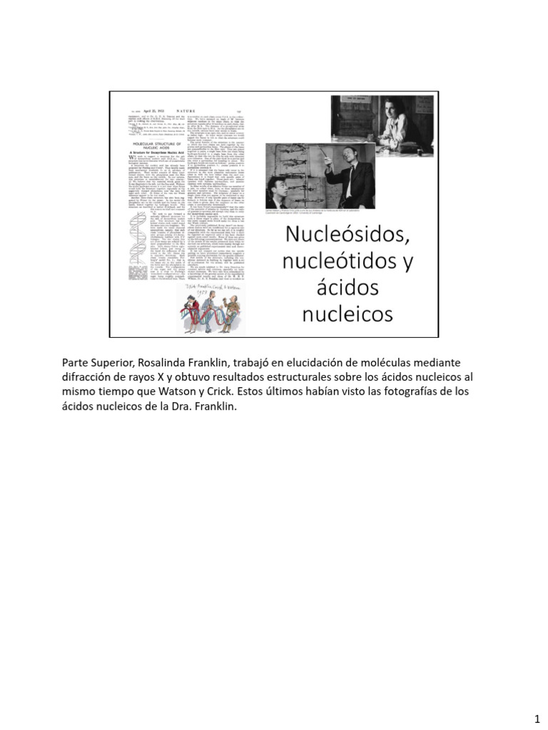 Nucleósidos, Nucleótidos y Ácidos Nucleicos_2022 | PDF | Adn | Histona