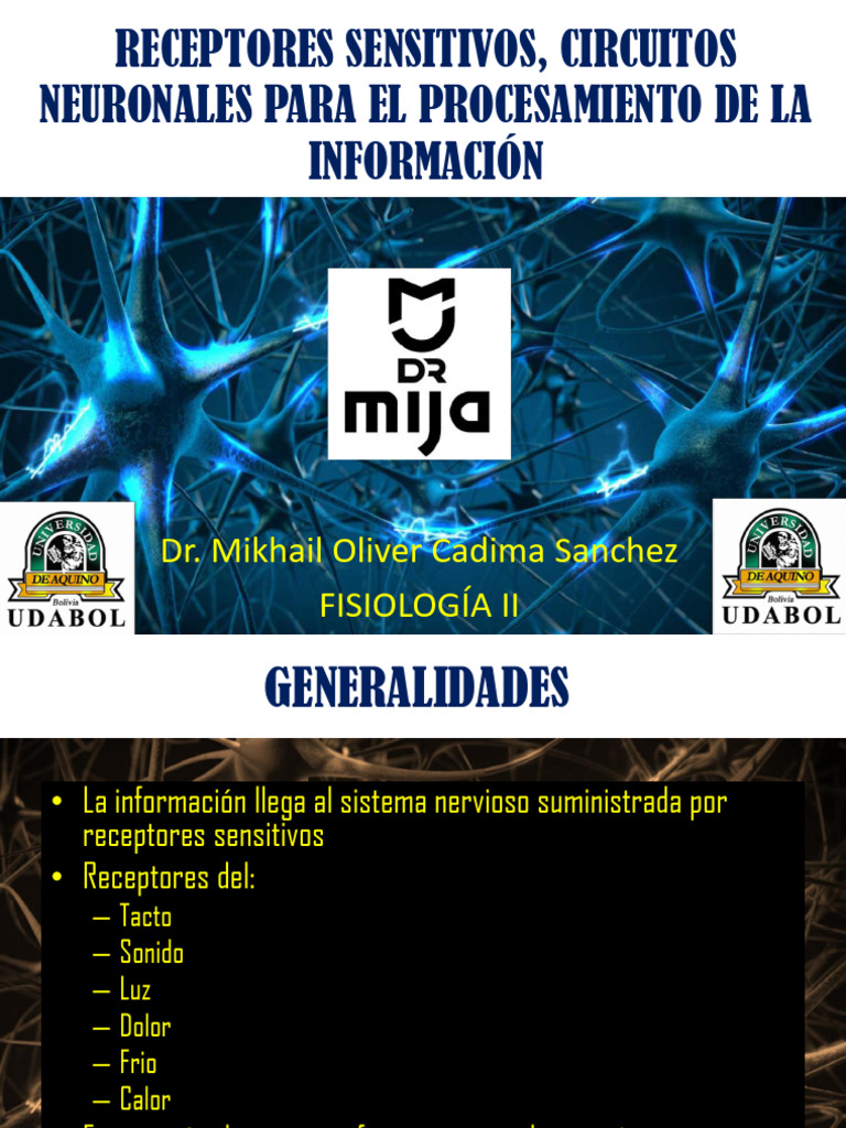 9 Receptores Sensitivos, Circuitos Neuronales para El Procesamiento Dr ...