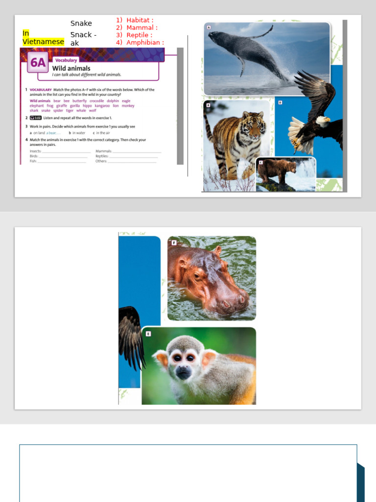 Unit 6 - Basic Class (Autosaved) (Autosaved) | PDF | Zoology
