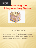 Dermatology Flap CPT Codes Guide | PDF | Teaching Methods & Materials ...