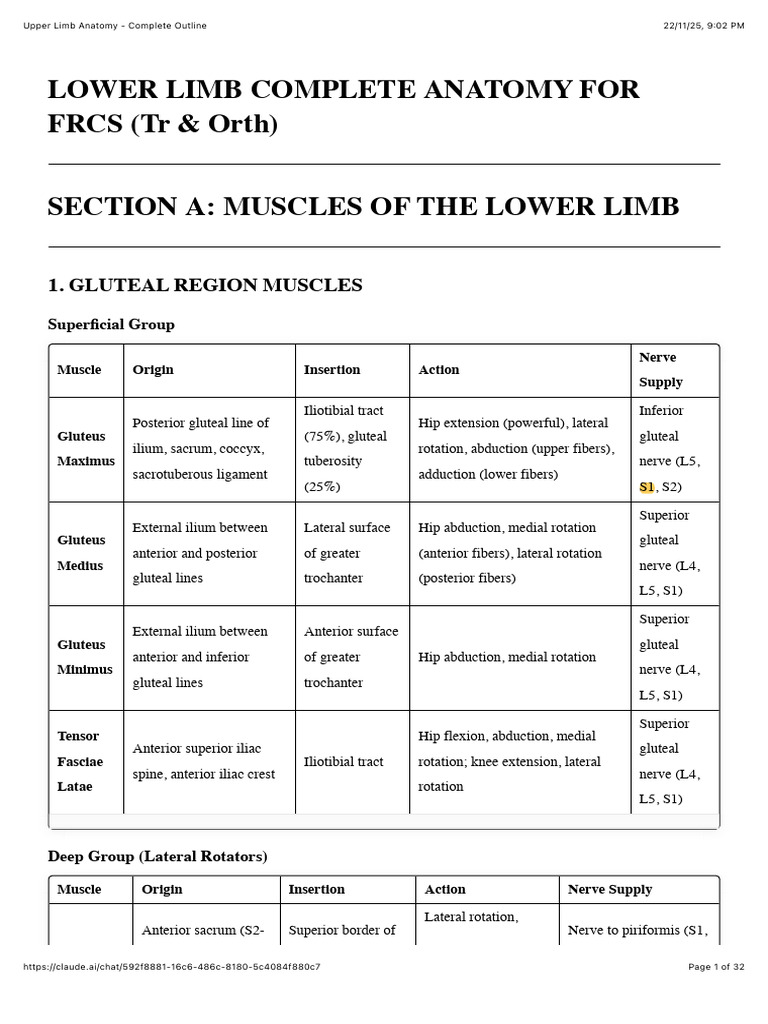 Lower Limb Anatomy Overview for FRCS | PDF | Human Leg | Foot