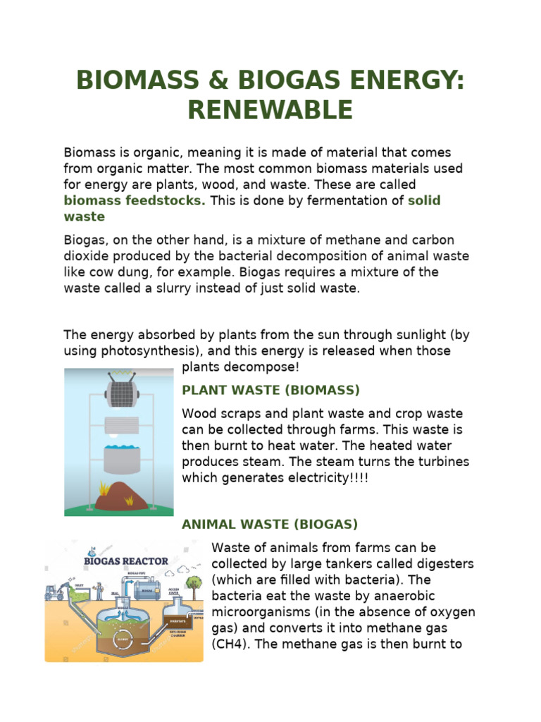 Biomass and Biogas Energy Explained | PDF | Biogas | Anaerobic Digestion