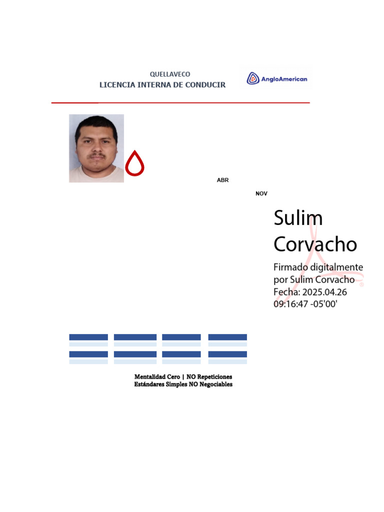 Lic. Hancco Lopez Alexander PDF | PDF