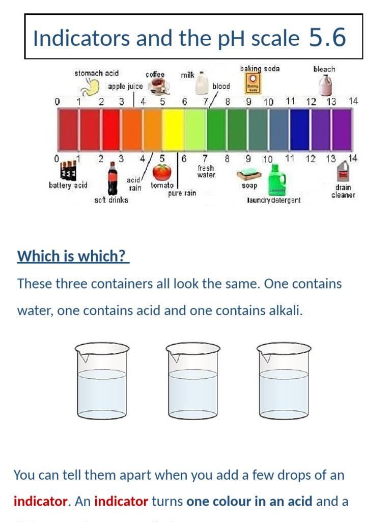 Understanding Indicators and pH Scale | PDF | Ph | Materials