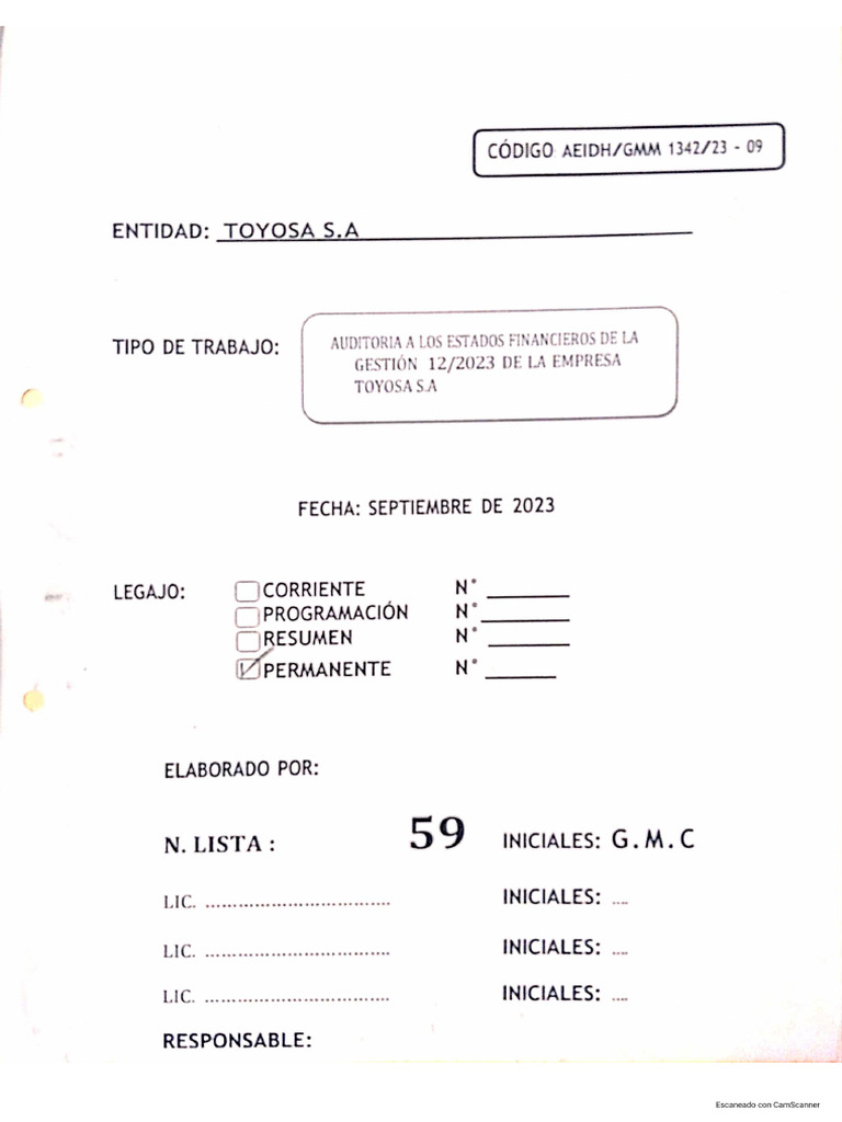 AUDI - 1 - Auditoría A Los EEFF de Toyosa | PDF