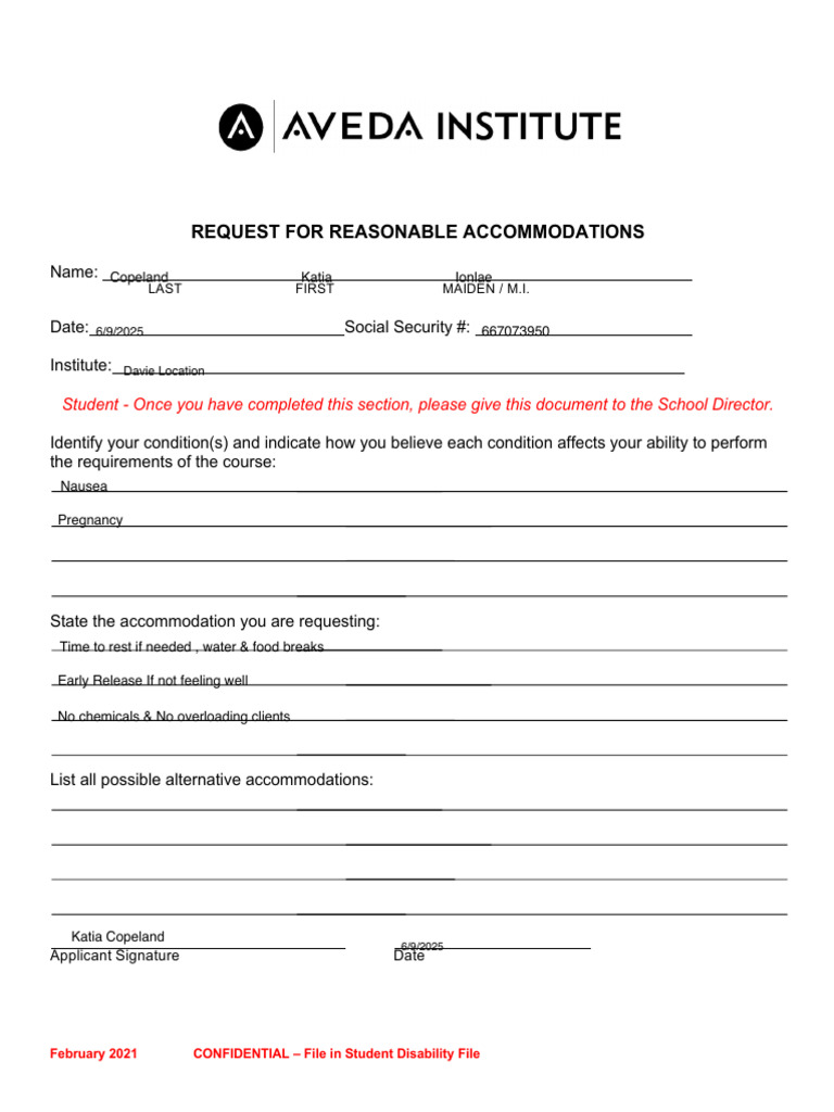 Special Accommodation Request Form | PDF