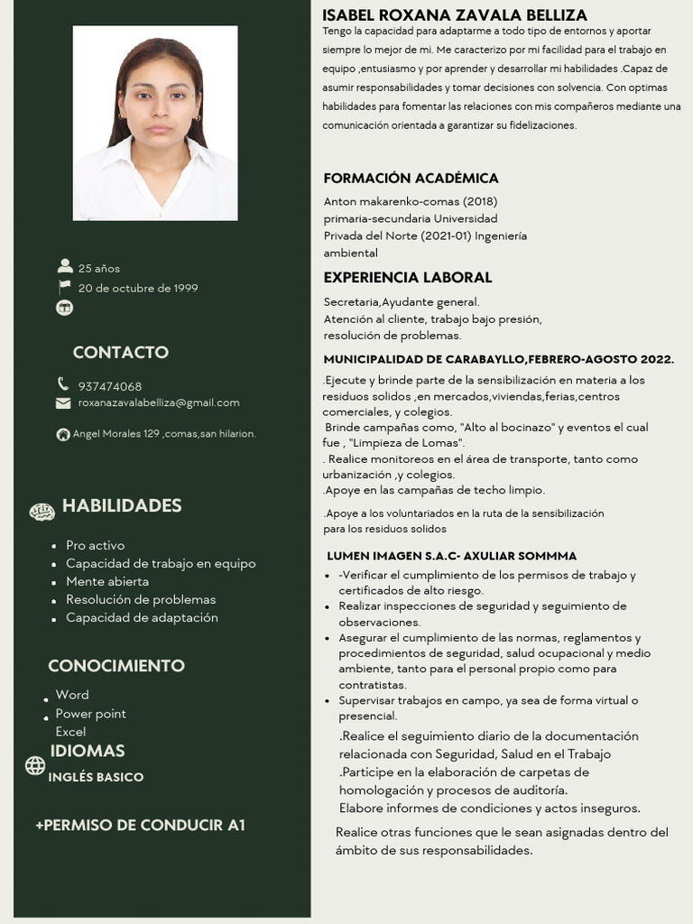 CV - Isabel Roxana Zavala Belliza | PDF | Seguridad y salud ocupacional ...