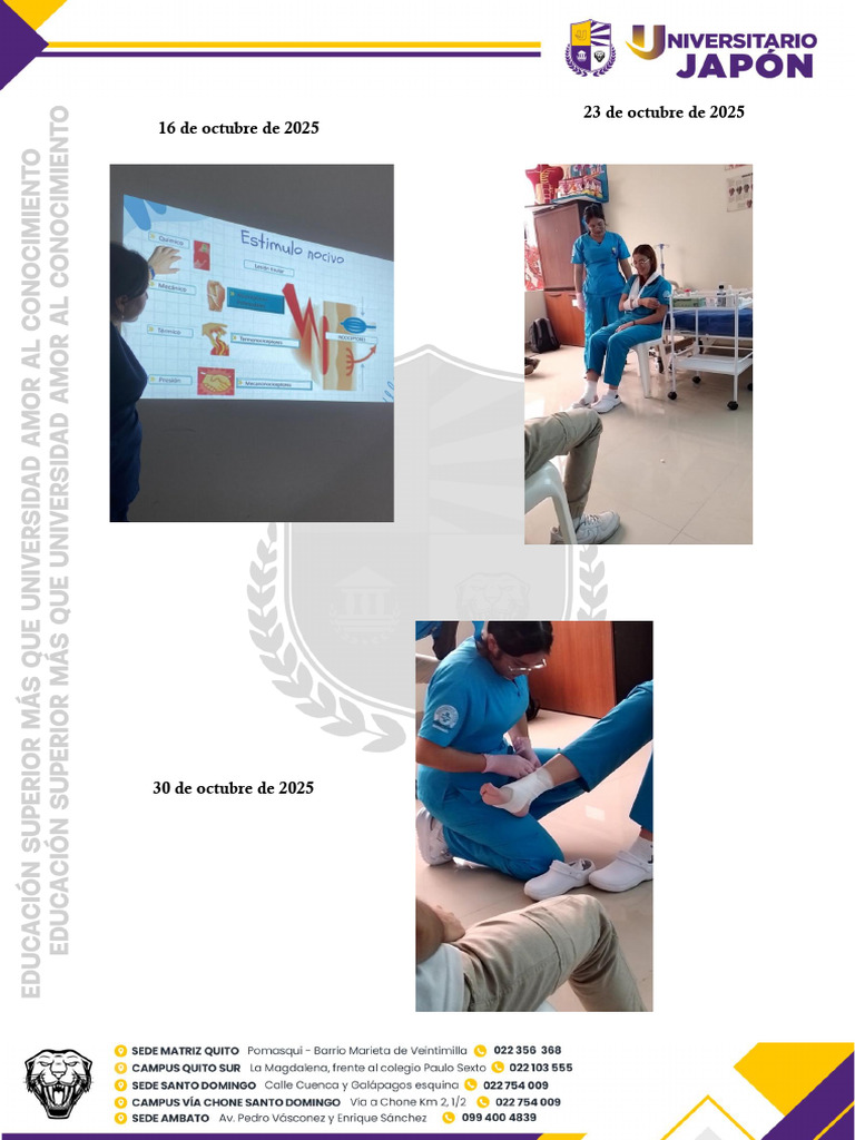 Imagenes Morfo | PDF