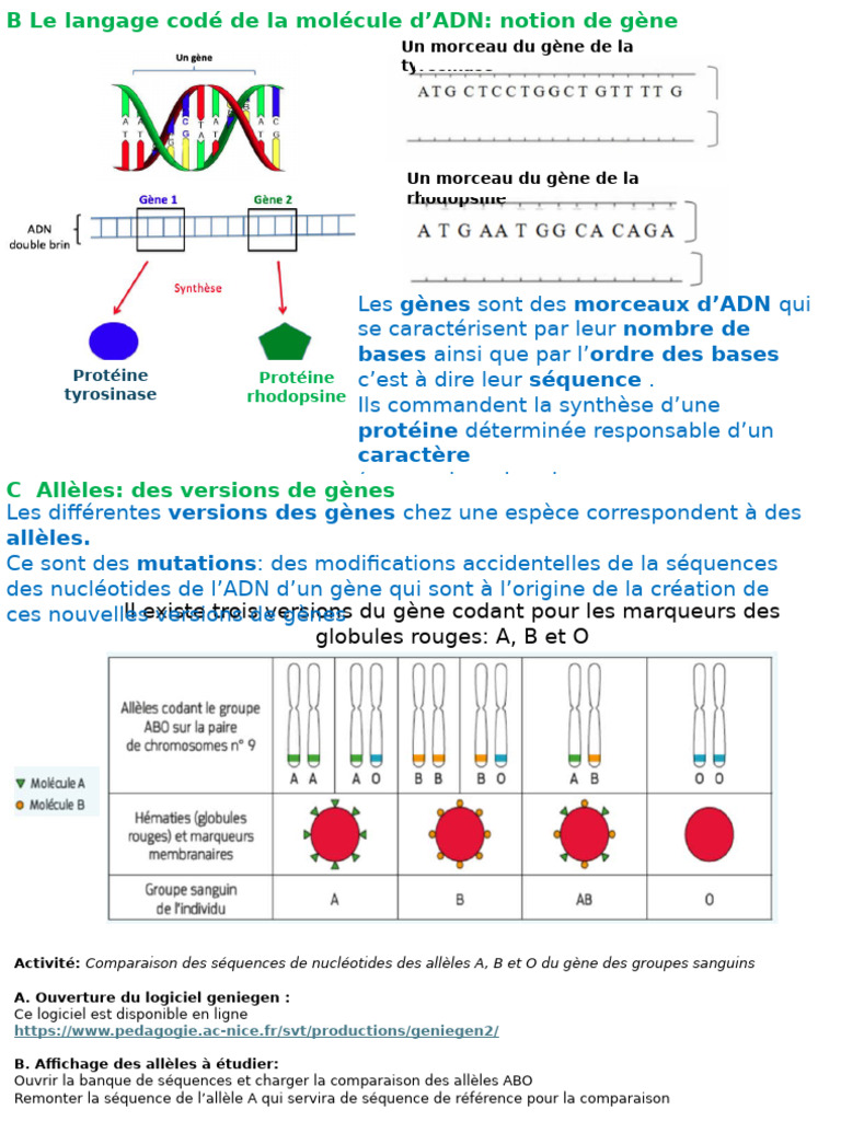 Comparaison des allèles ABO en ADN | PDF | Allèle | Gène