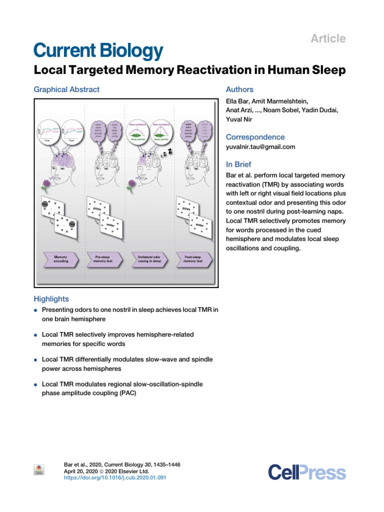 Local Targeted Memory Reactivation in Human Sleep | PDF | Memory | Sleep